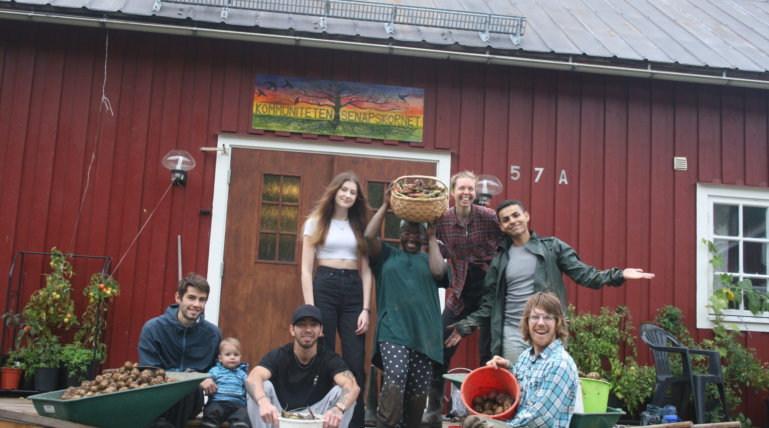 Vi behöver göra fredsexperiment!